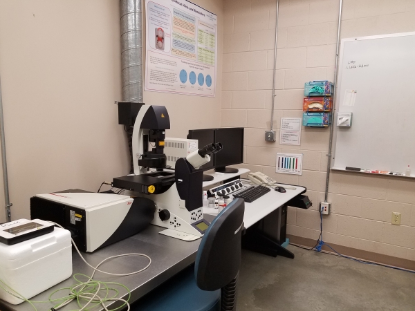 Confocal Scanning Laser Microscopes, 1 upright, 1 inverted | NNCI